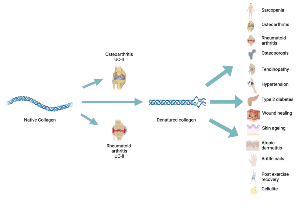 Collagen: A Review of Clinical Use and Efficacy - Nutritional Medicine ...